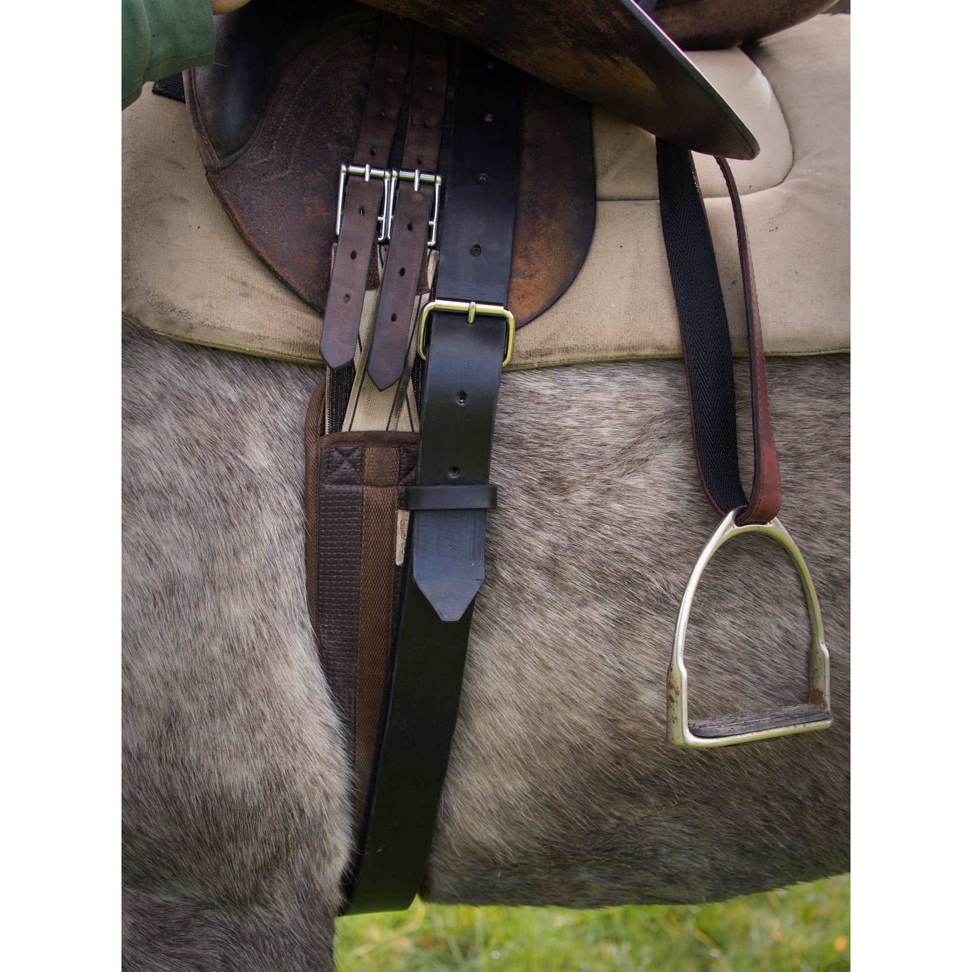 Easts Leather Surcingle – Easts at Makaraka